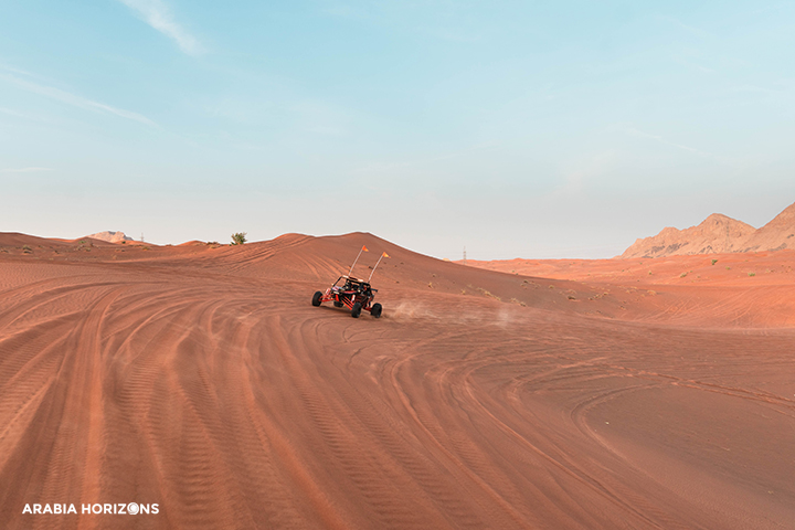 Desert Fox Dune Buggy Safari Dubai | Arabia Horizons